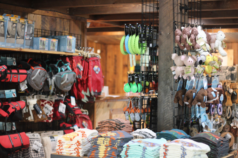 Our Store - Blue Ridge Adventure Dog