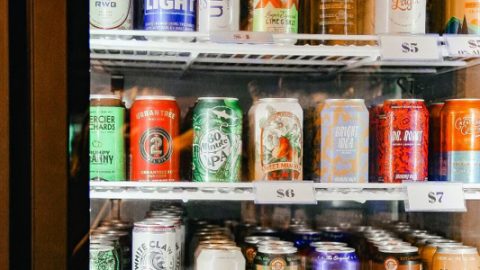 Blue Ridge Adventure Dog | For Dogs & Dog People