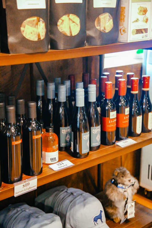 Bar - Blue Ridge Adventure Dog