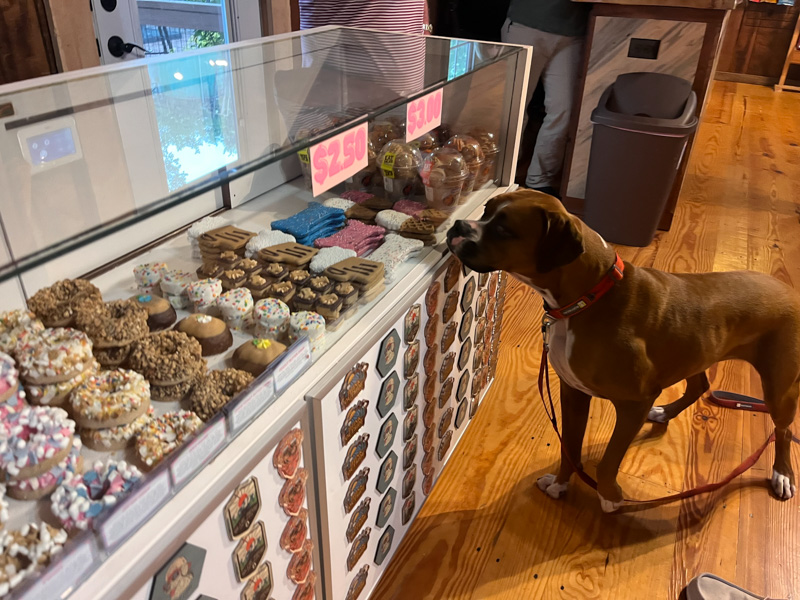 Our Store - Blue Ridge Adventure Dog