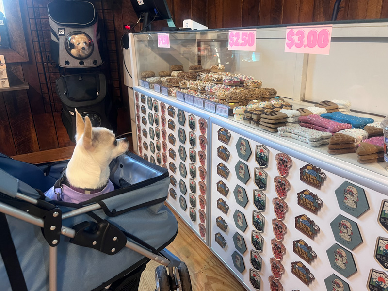 Our Store - Blue Ridge Adventure Dog